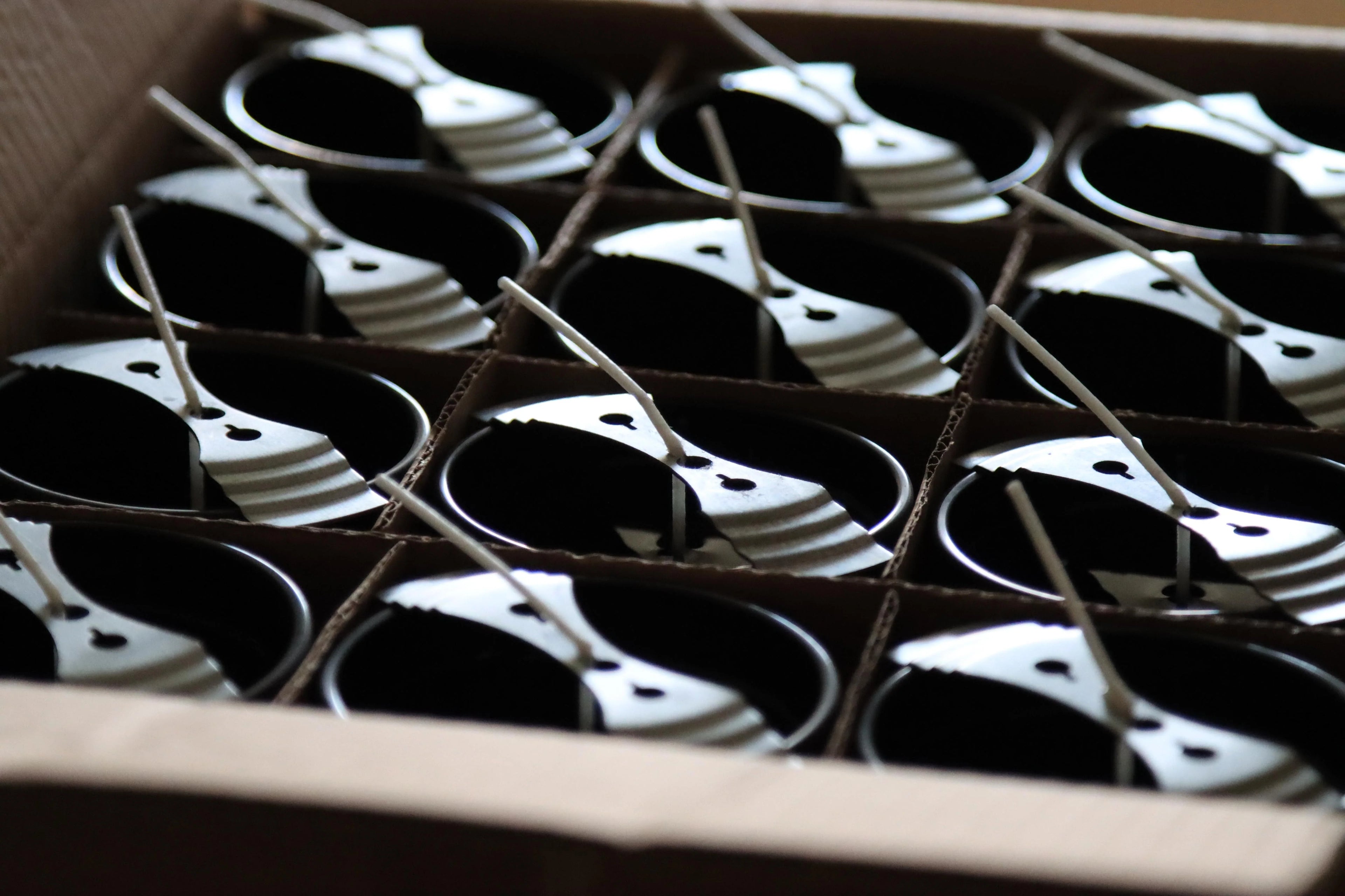 Vanilla Cream - Scented Candle – Scently